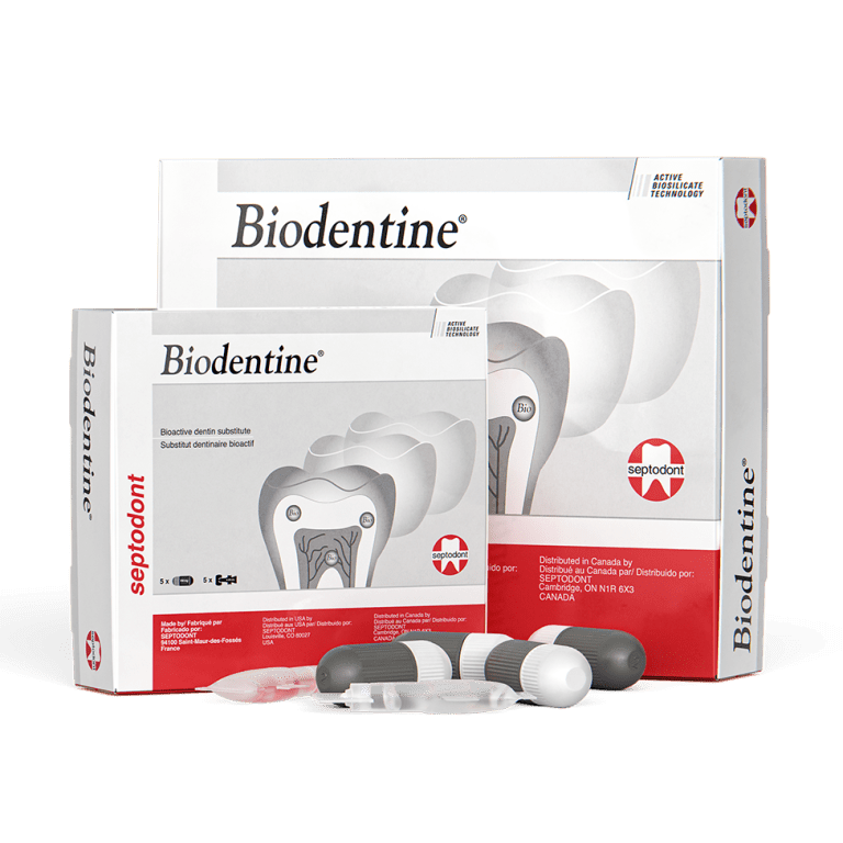 Discover the multiple indications of Biodentine | Septodont